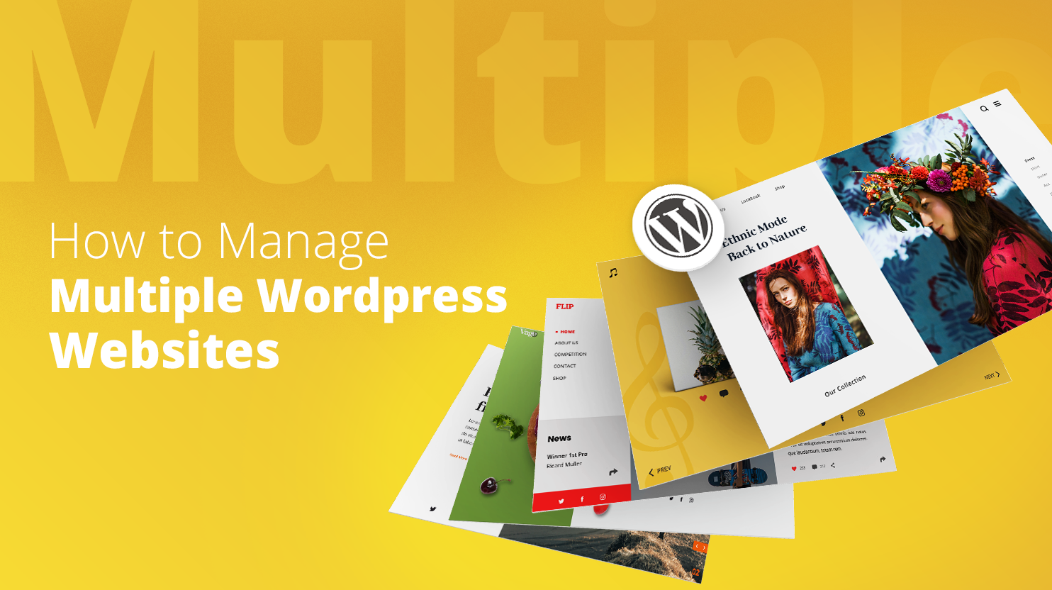 How To Manage Multiple WordPress Websites 10Web