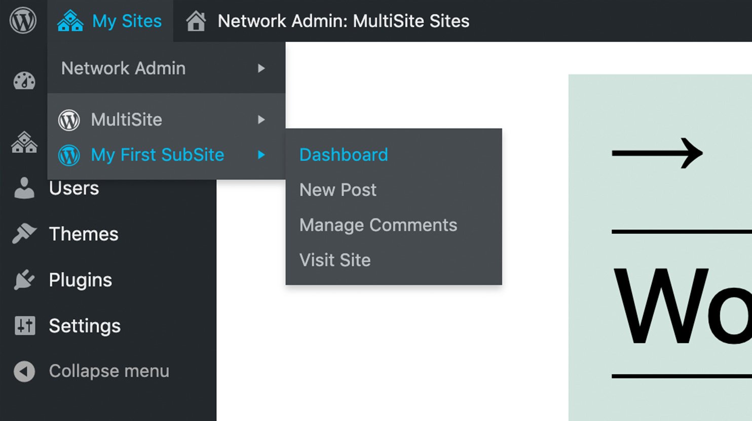 The Complete Guide on How to Setup WordPress Multisite - 10Web