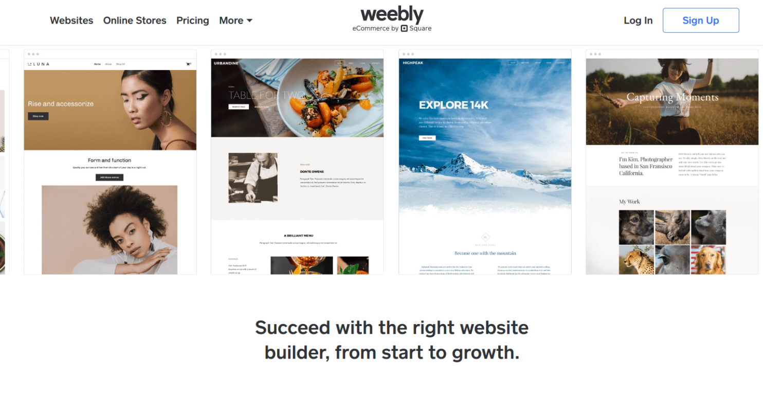 The 7 Best Website Builders for SEO in 2025 - 10Web