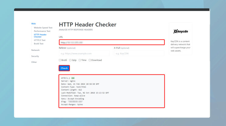 How to Fix Error 521 - 10Web
