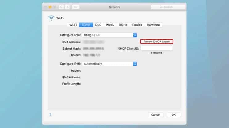 How to Fix 'Server IP Address Could Not Be Found' Error