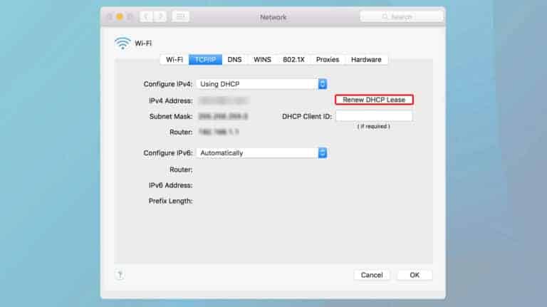 How to Fix 'Server IP Address Could Not Be Found' Error