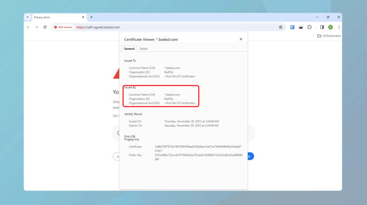 NET::ERR_CERT_COMMON_NAME_INVALID Resolved
