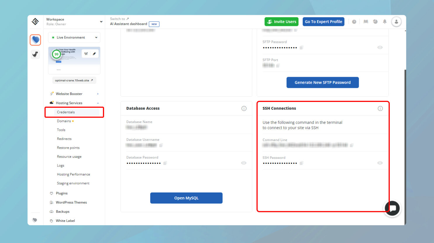Database Already Up-to-Date: Troubleshooting | 10Web