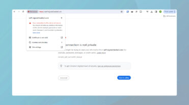 SSL/TLS Trust Relationship Error: Solutions | 10Web