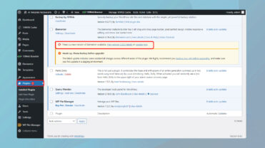 [Resolved] Elementor Not Loading Issue