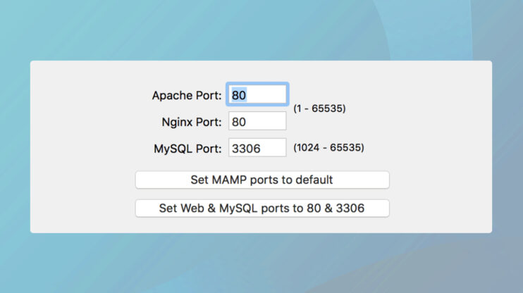 How to Install WordPress: A Step-by-Step Guide - 10Web