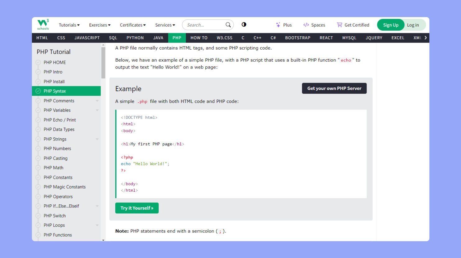 How to Become a WordPress Developer - 10Web