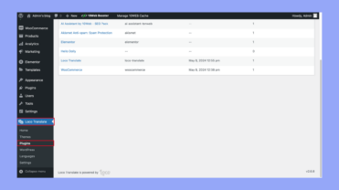 How to Change WooCommerce Language: A Quick Guide - 10Web