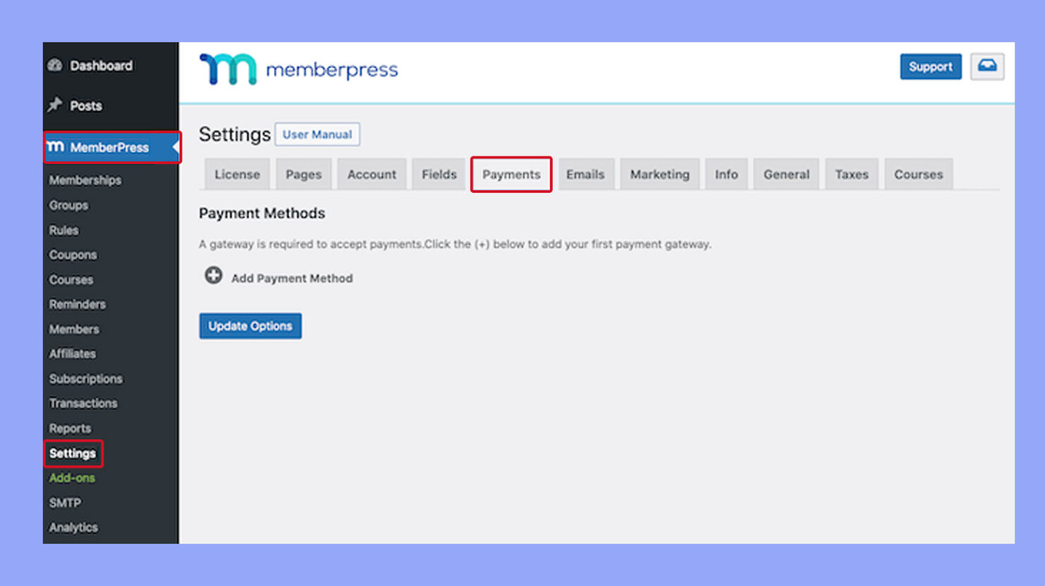 How to Make Money with WordPress | 10Web