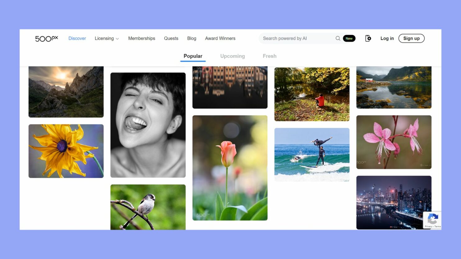 Best Free Image Hosting: Top Platforms for 2024 - 10Web
