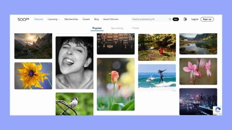 Best Free Image Hosting: Top Platforms for 2026 - 10Web