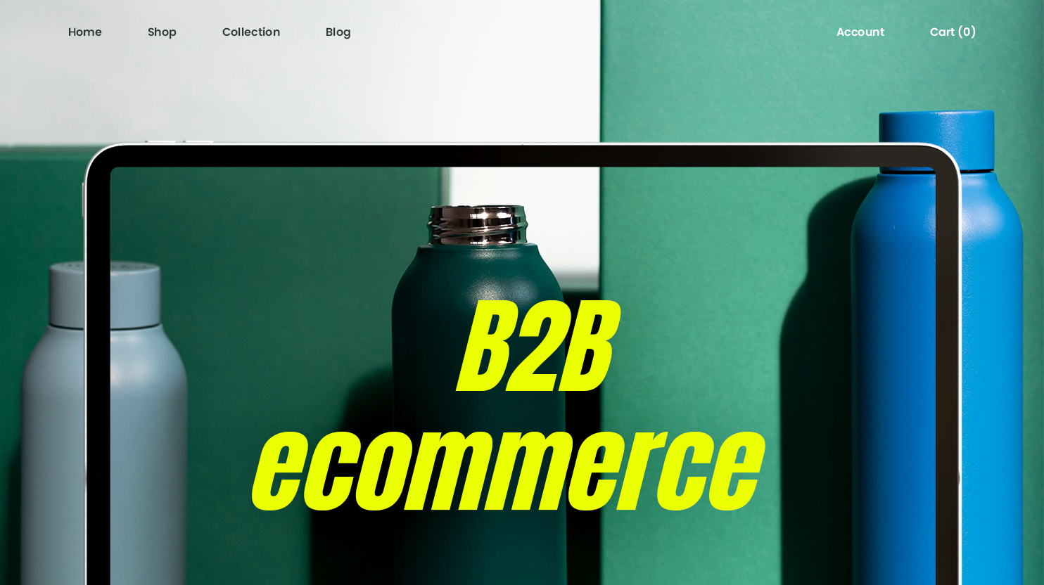 B2B Ecommerce 101: Examples and Tips for Getting Started