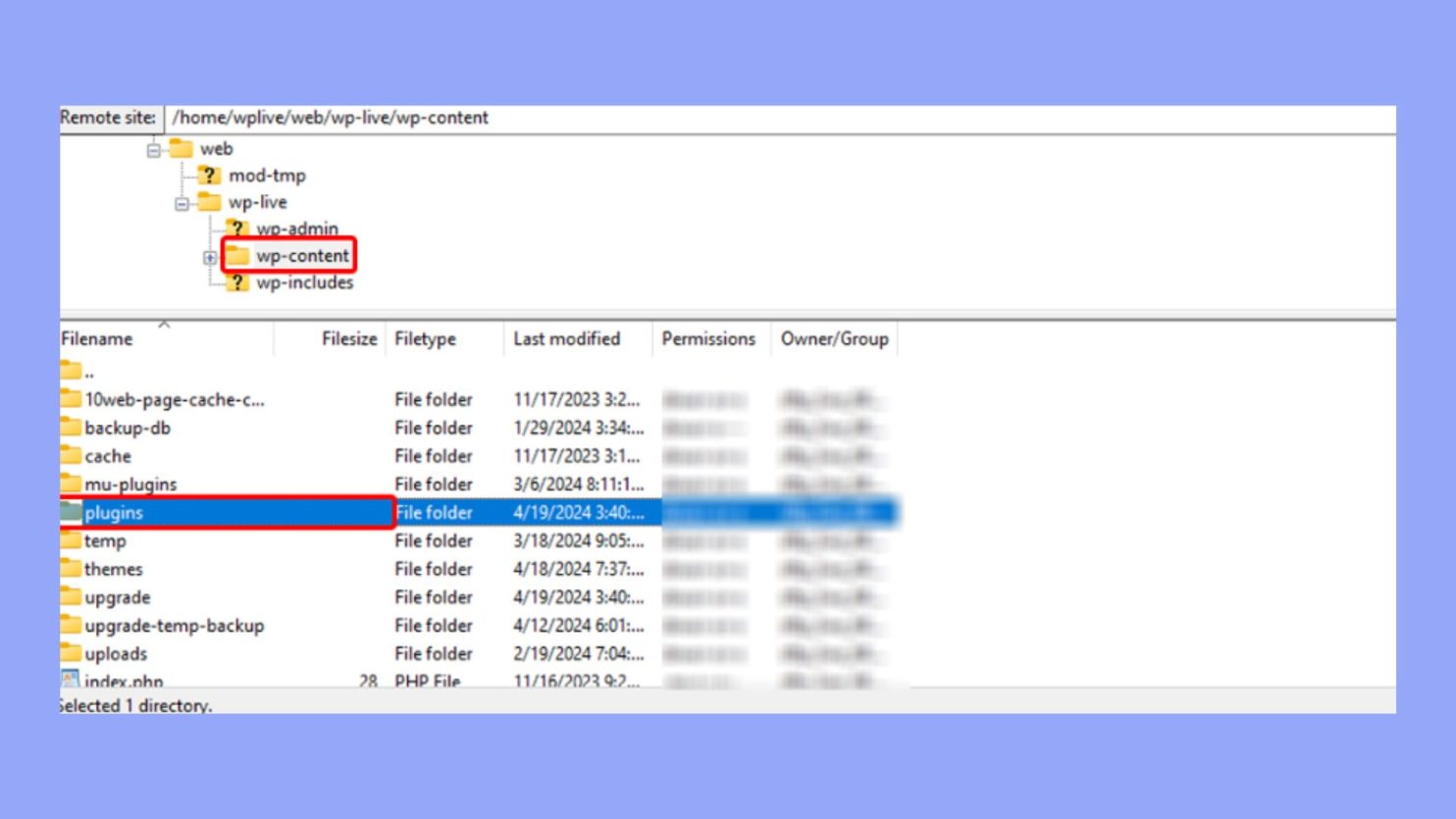 What Is Root Directory in WordPress