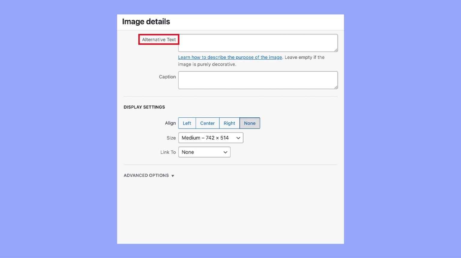 What is Alt Text in WordPress - 10Web