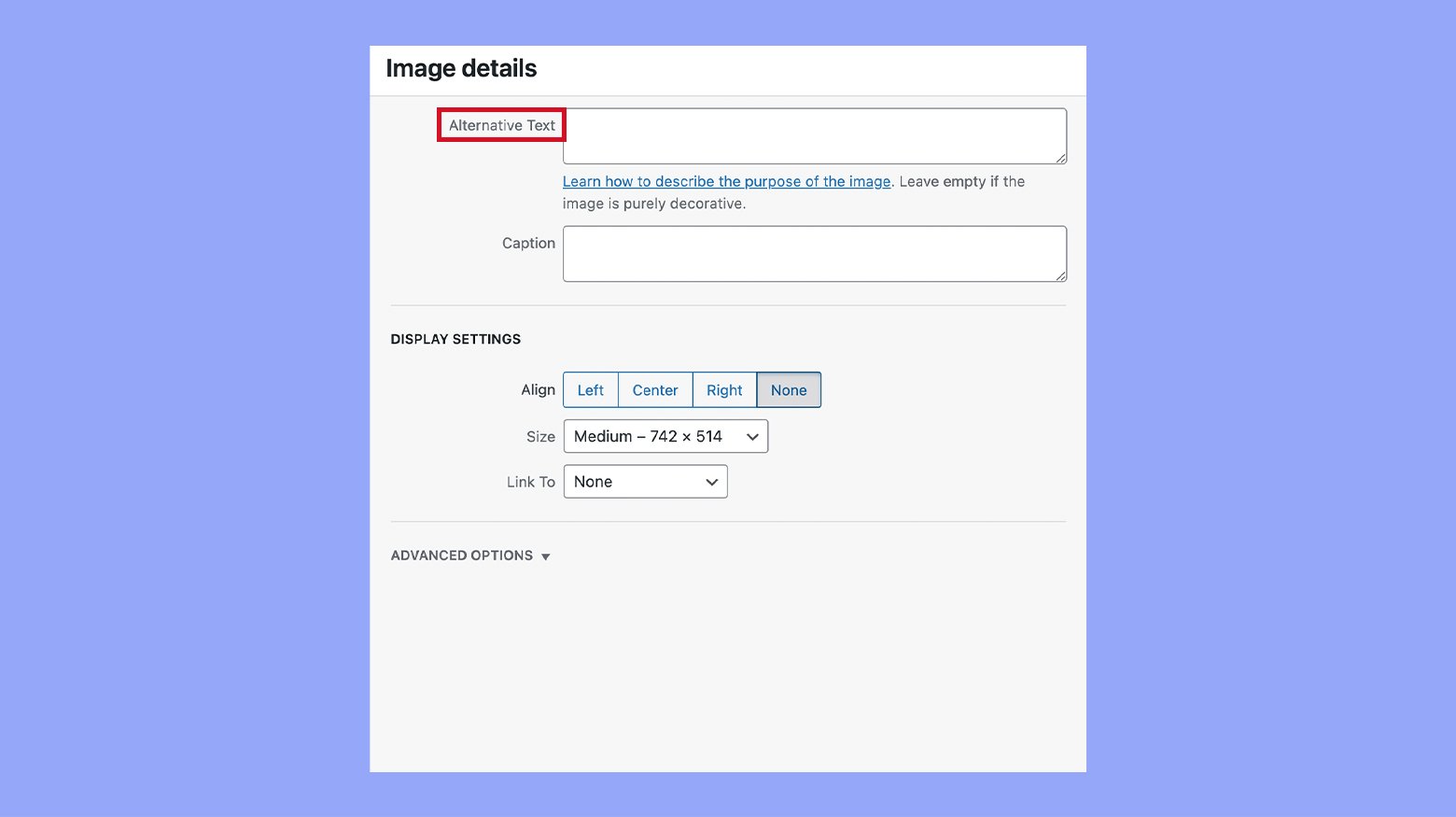 What is Alt Text in WordPress - 10Web