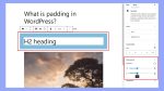 What is Padding in WordPress?
