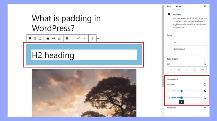 What is Padding in WordPress?