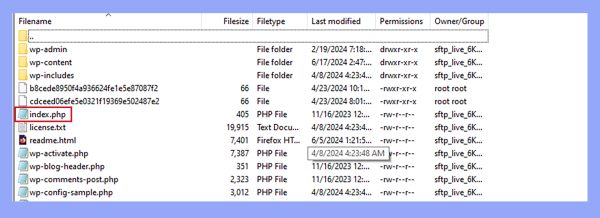 What is index.php in WordPress - 10Web