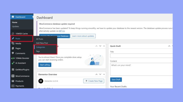 What is Taxonomy in WordPress - 10Web